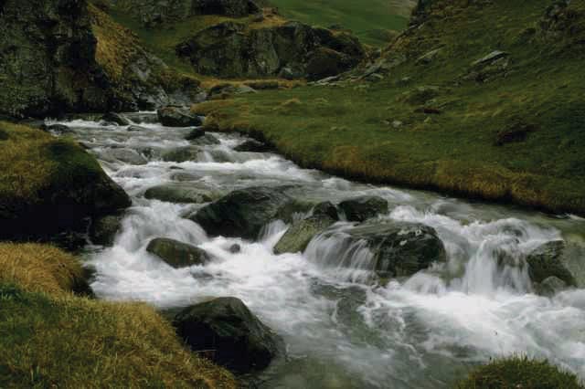 Environmental Monitoring | Pine Environmental